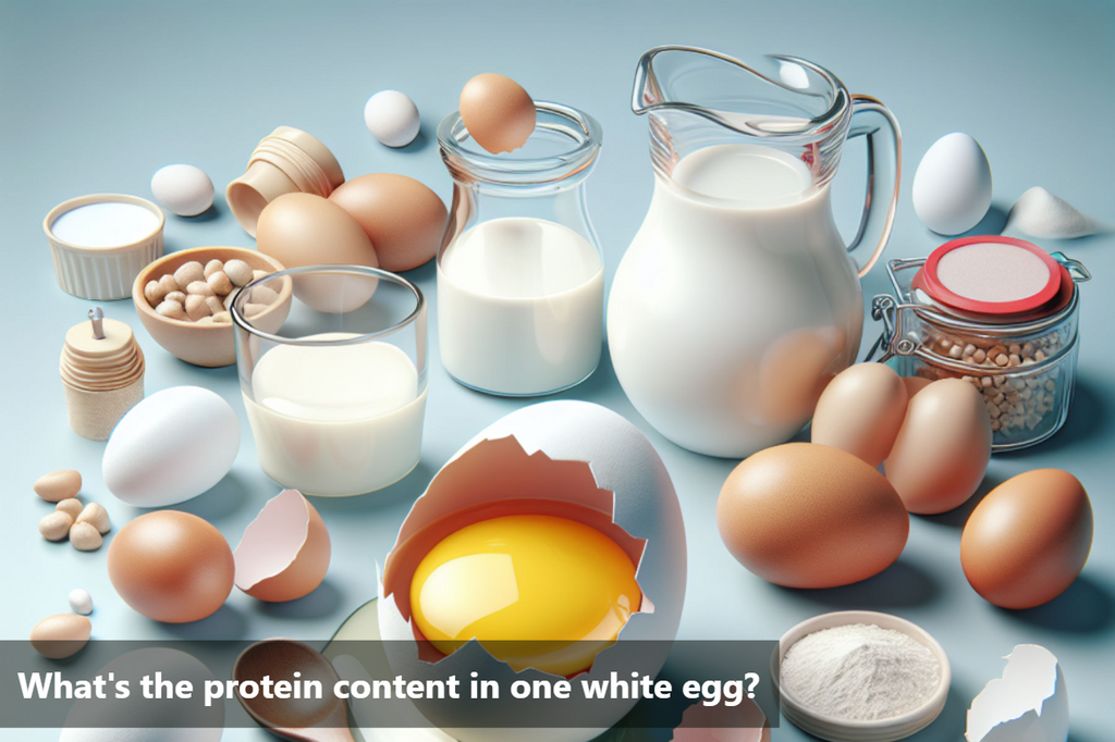 Protein in One White Egg