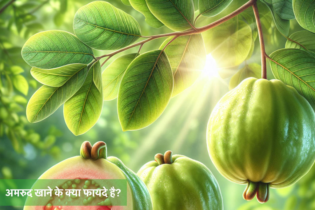 अमरूद खाने के फायदे | Amrud ke fayde