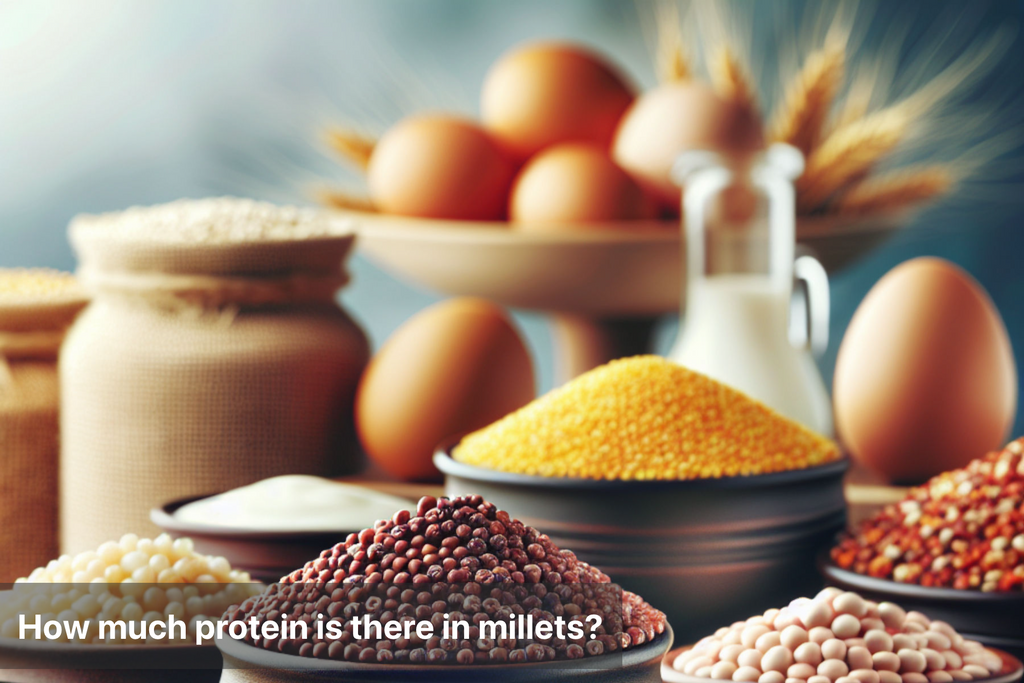 Protein in Millets: A Comprehensive Guide