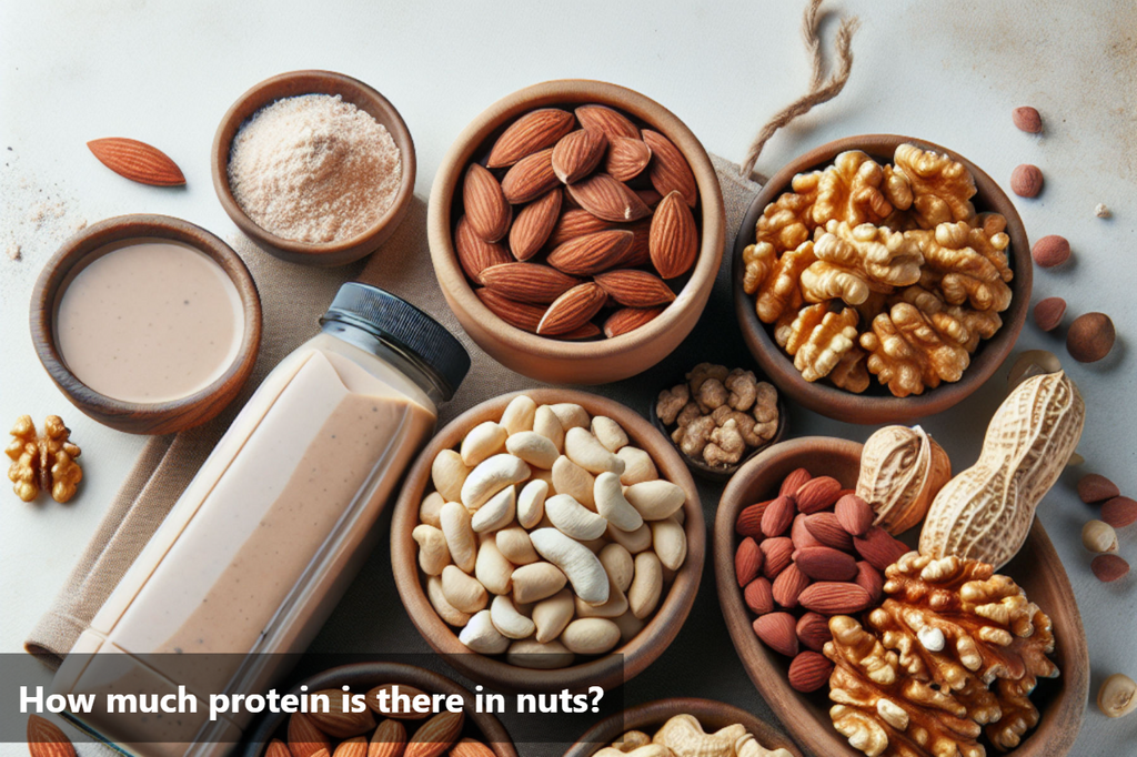 Protein in Nuts: How Much is There?