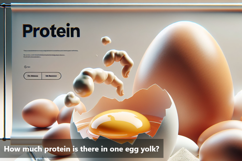 How Much Protein is in One Egg Yolk?