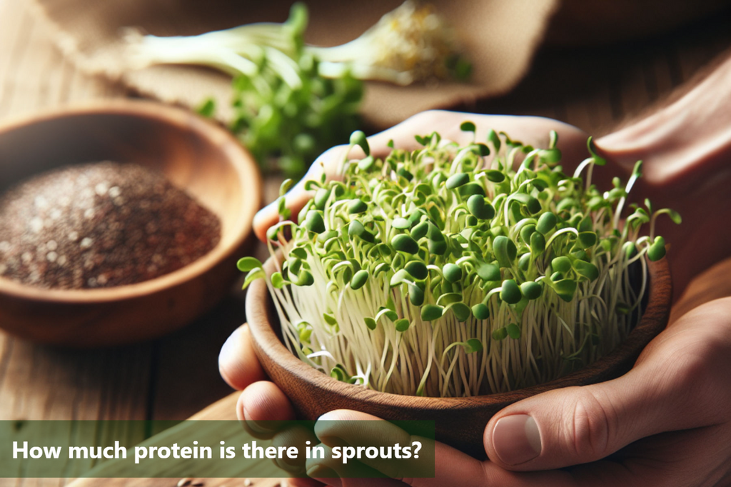 Protein in Sprouts: How Much is There?