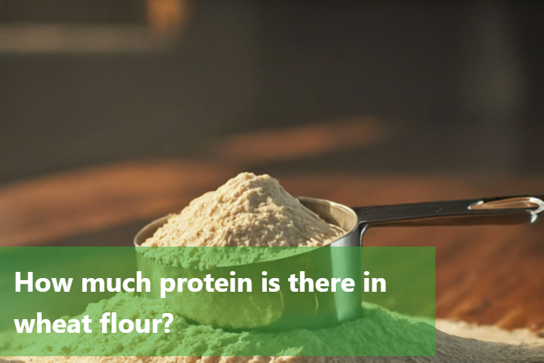 Protein Content in Wheat Flour: Nutritional Information