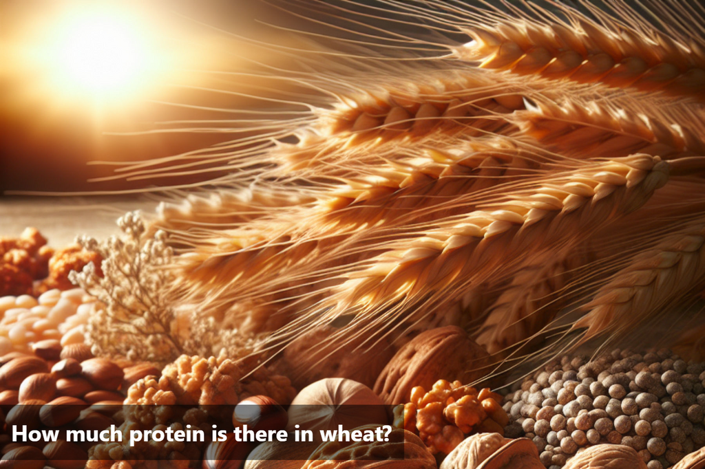 Protein in Wheat: How Much is There?