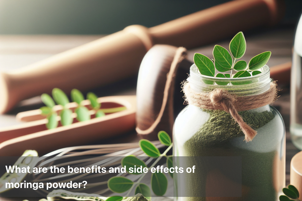 Moringa Powder Benefits & Side Effects for Men