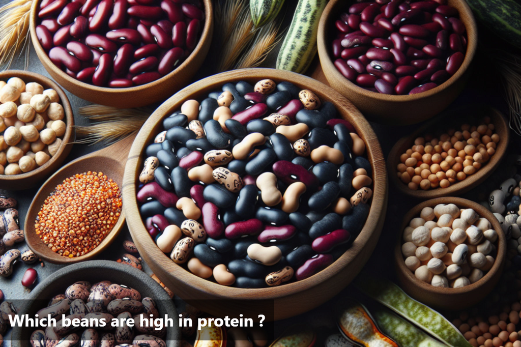 Which Beans are High in Protein? - Beans Rich in Protein