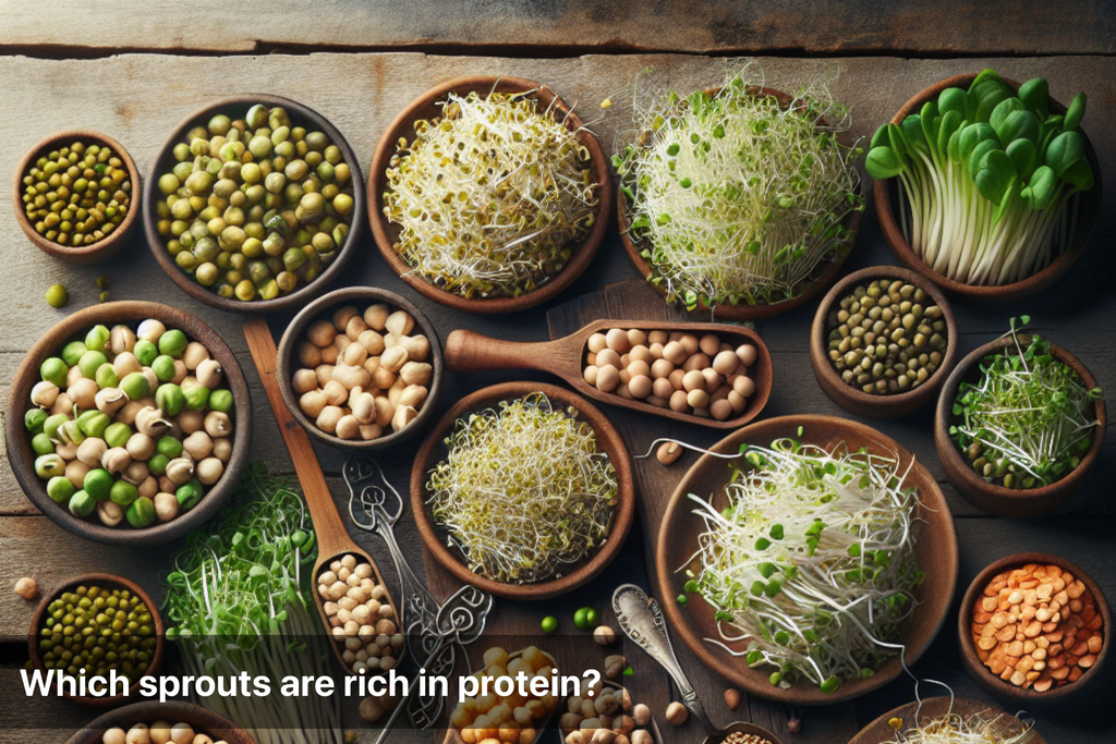 Which Sprouts are Rich in Protein?